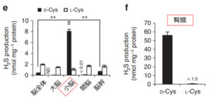 D-システイン（D-Cys） | Dアミノ酸ラボ株式会社